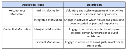 Understanding Motivation in Games - Self-Determination Theory