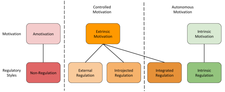 Understanding Motivation in Games - Self-Determination Theory